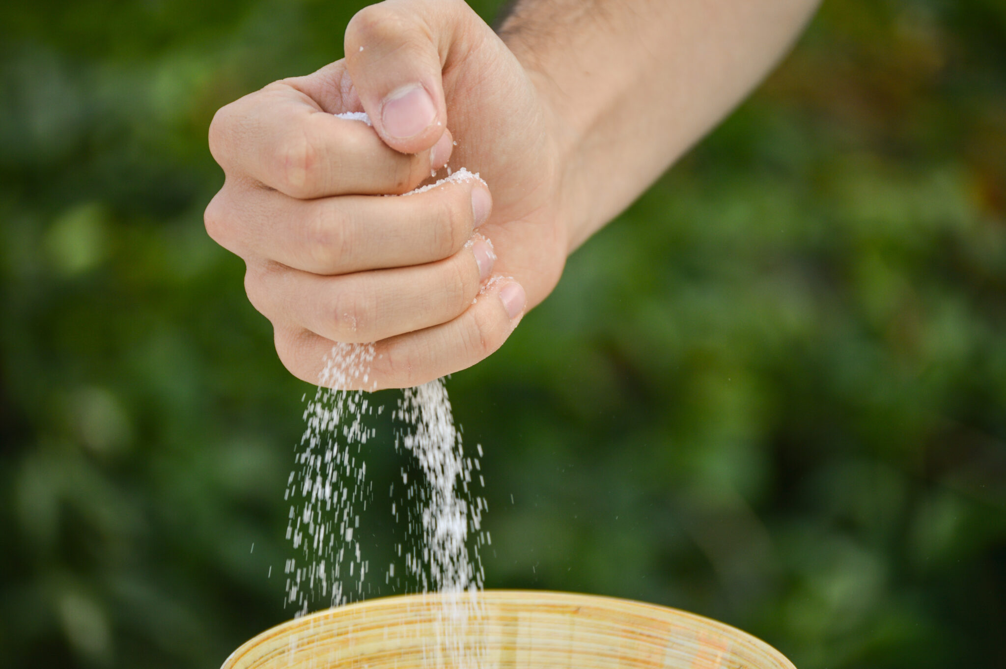 Healthy Eating and Exercise For Life - Calorie Control Council