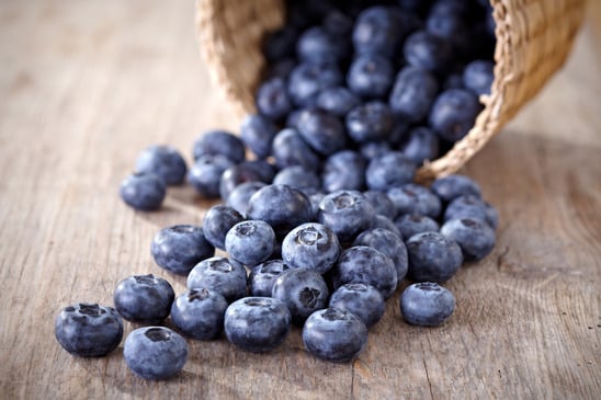 Celebrate Fun, Flavor and Fitness during National Blueberry Month ...